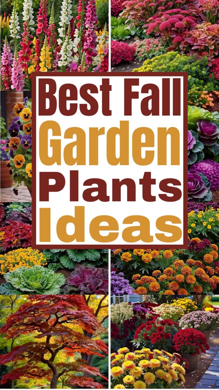 10 Colorful Fall Garden Plants Ideas For Cold Climates - Ease DIYs