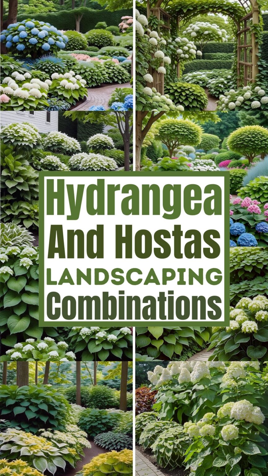 Hydrangea And Hostas Landscaping Combinations - Ease DIYs
