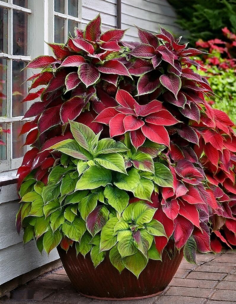10 Plants That Love Epsom Salt (Simple Tips For Healthier Garden ...