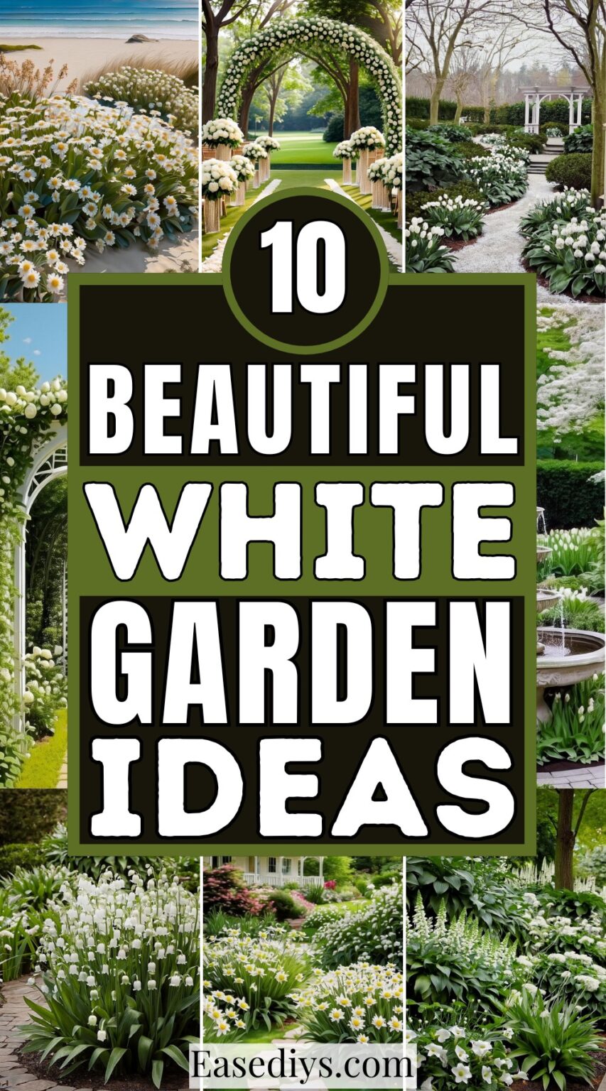 10 Unique Flossy Beautiful White Garden Ideas - Ease DIYs